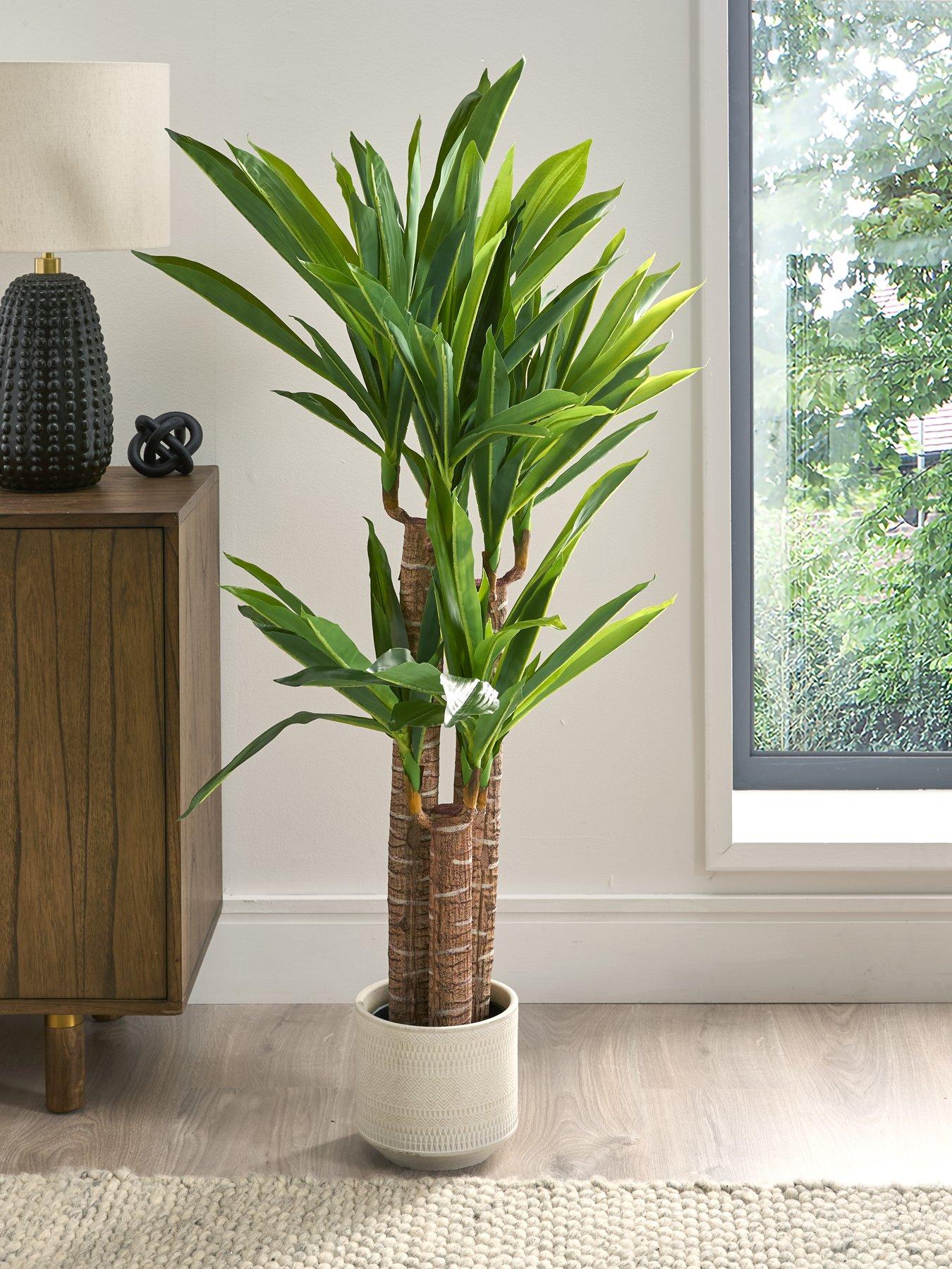 The Very Collection Faux Triple Stem Yucca Plant in Plastic Pot | Very ...