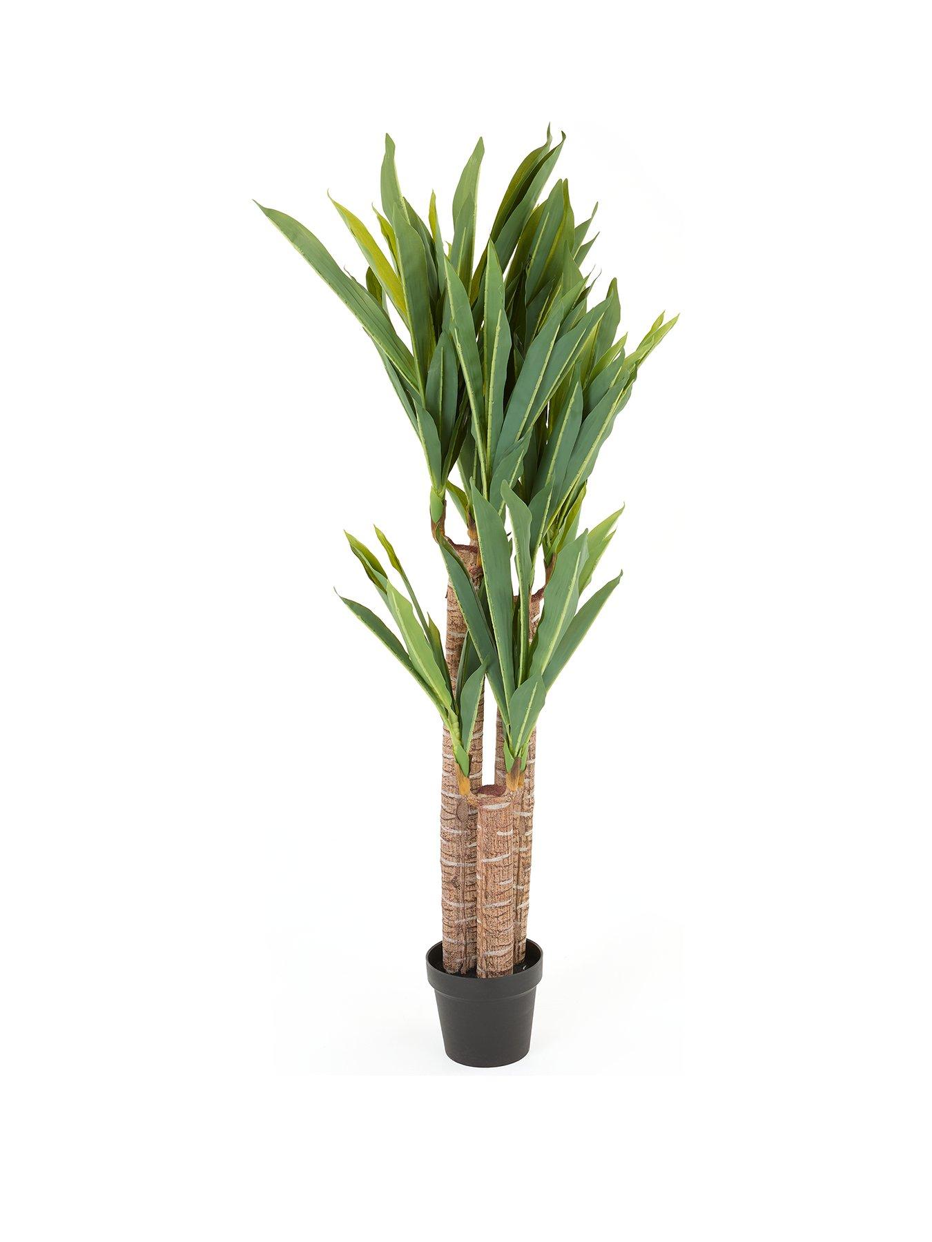 The Very Collection Faux Triple Stem Yucca Plant in Plastic Pot | Very ...