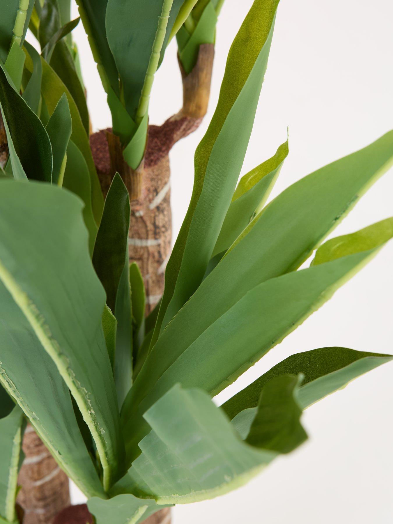 The Very Collection Faux Triple Stem Yucca Plant in Plastic Pot | Very ...