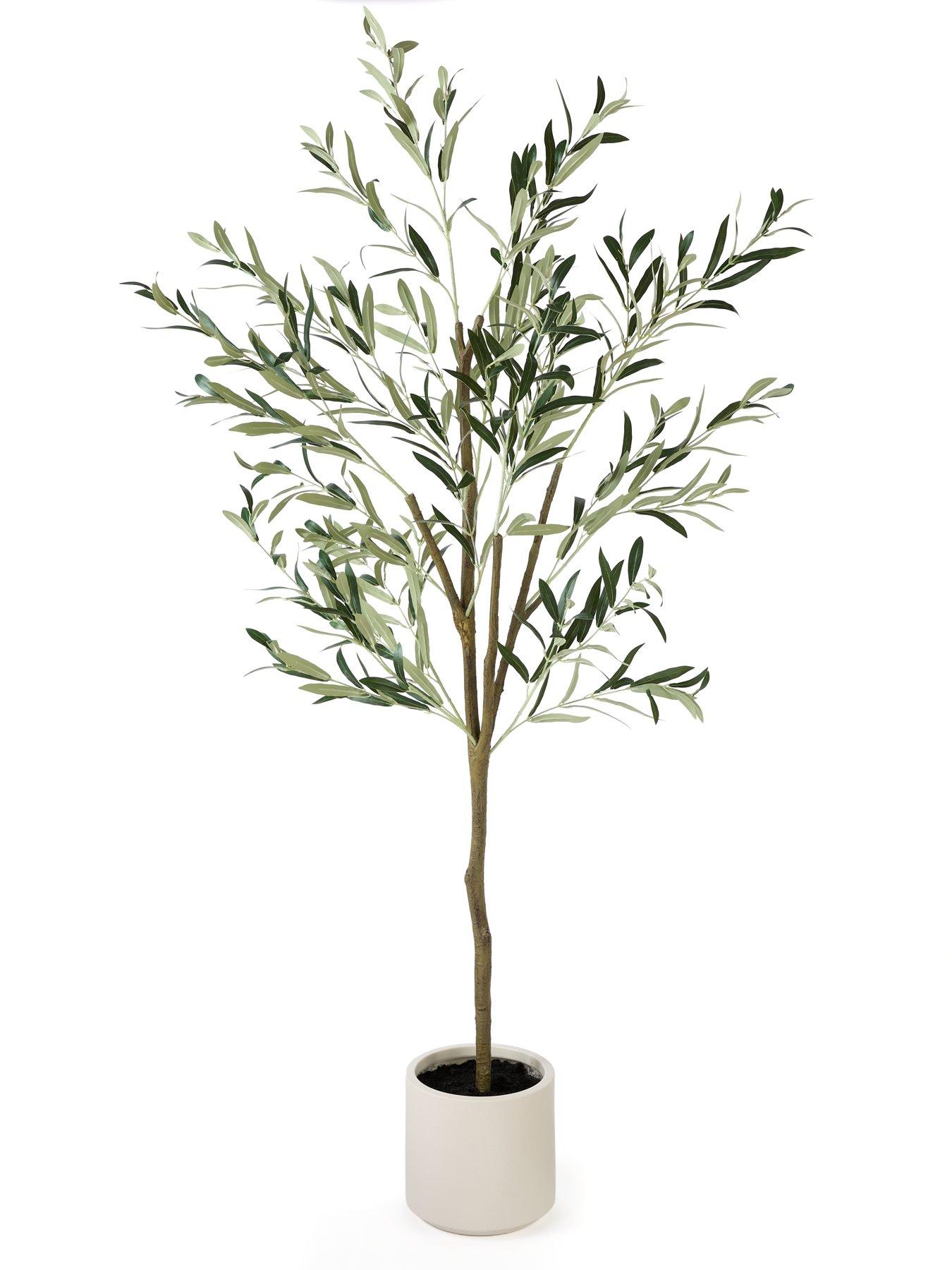 Michelle Keegan Home 180cm Olive Tree In Plastic Pot | Very Ireland